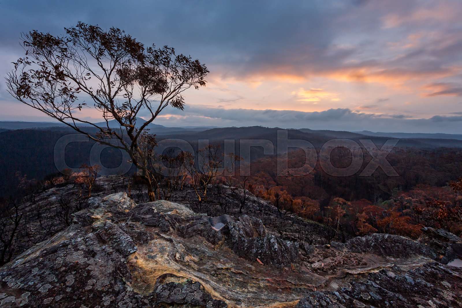 Sunset sky and rain over burnt bushland in Australia | Stock image ...