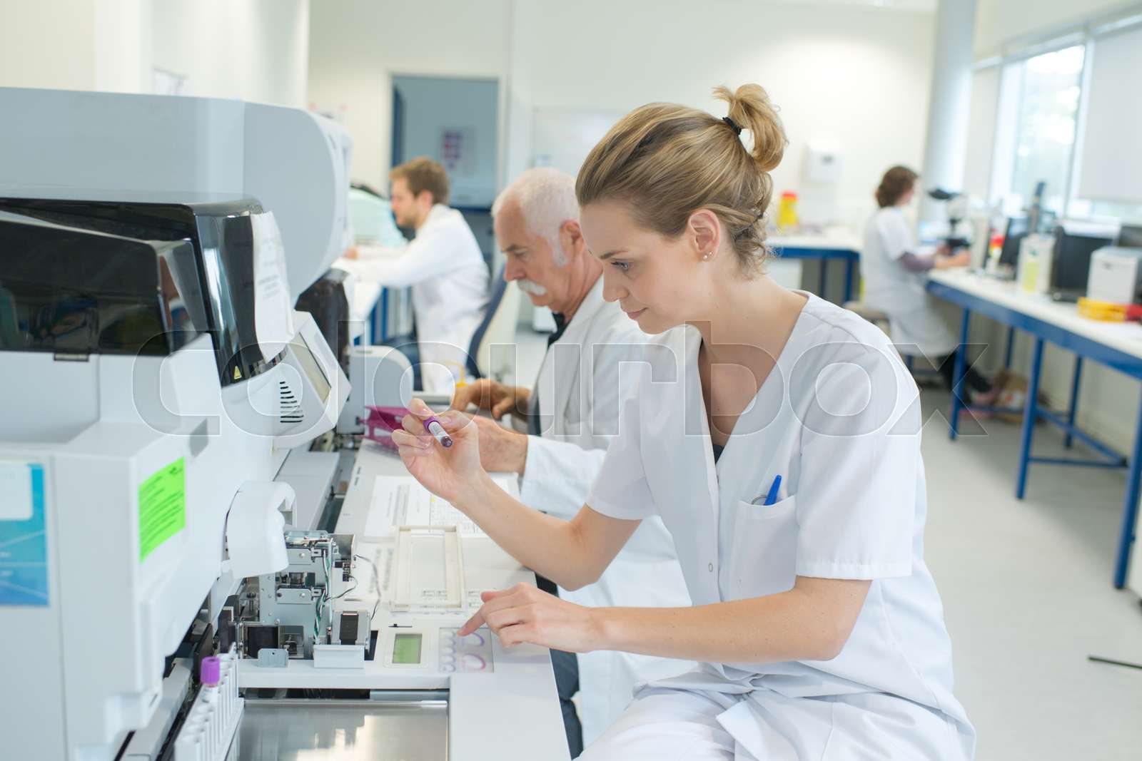 Laboratory worker setting up equipment | Stock image | Colourbox
