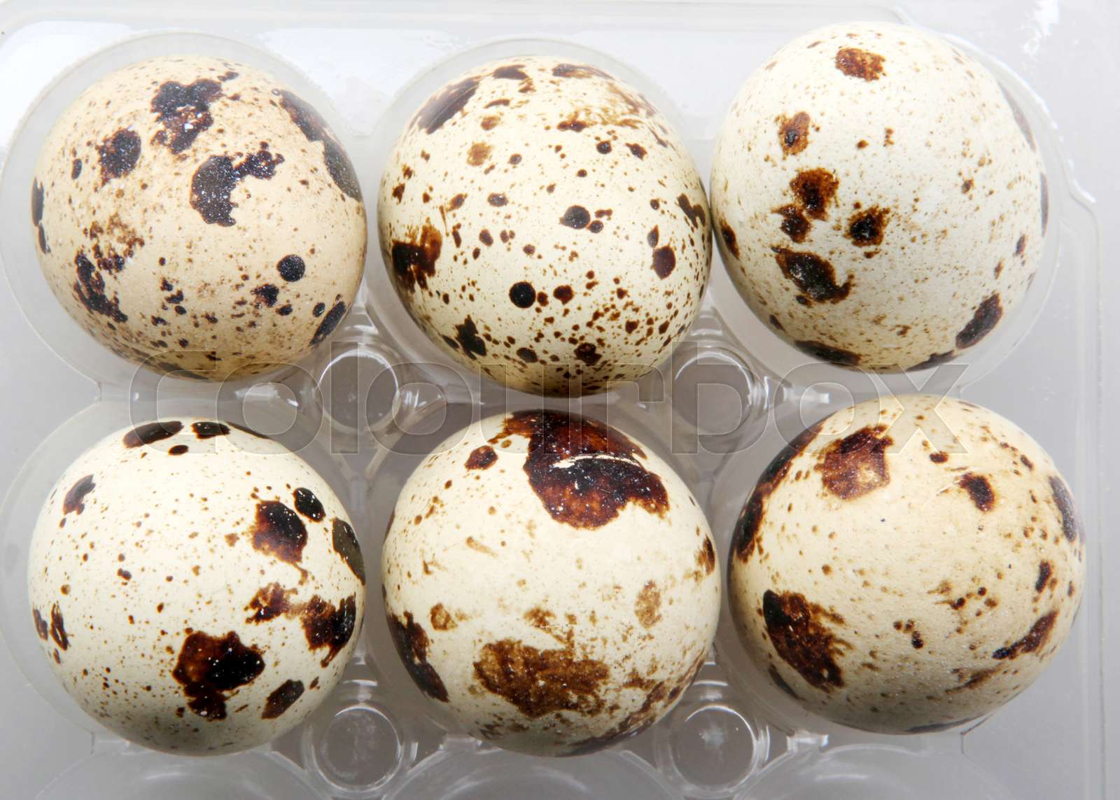 Image Of Fresh Quail Eggs In A Package | Stock image | Colourbox