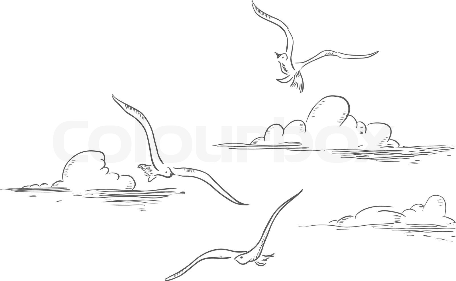 Gulls and clouds | Stock vector | Colourbox