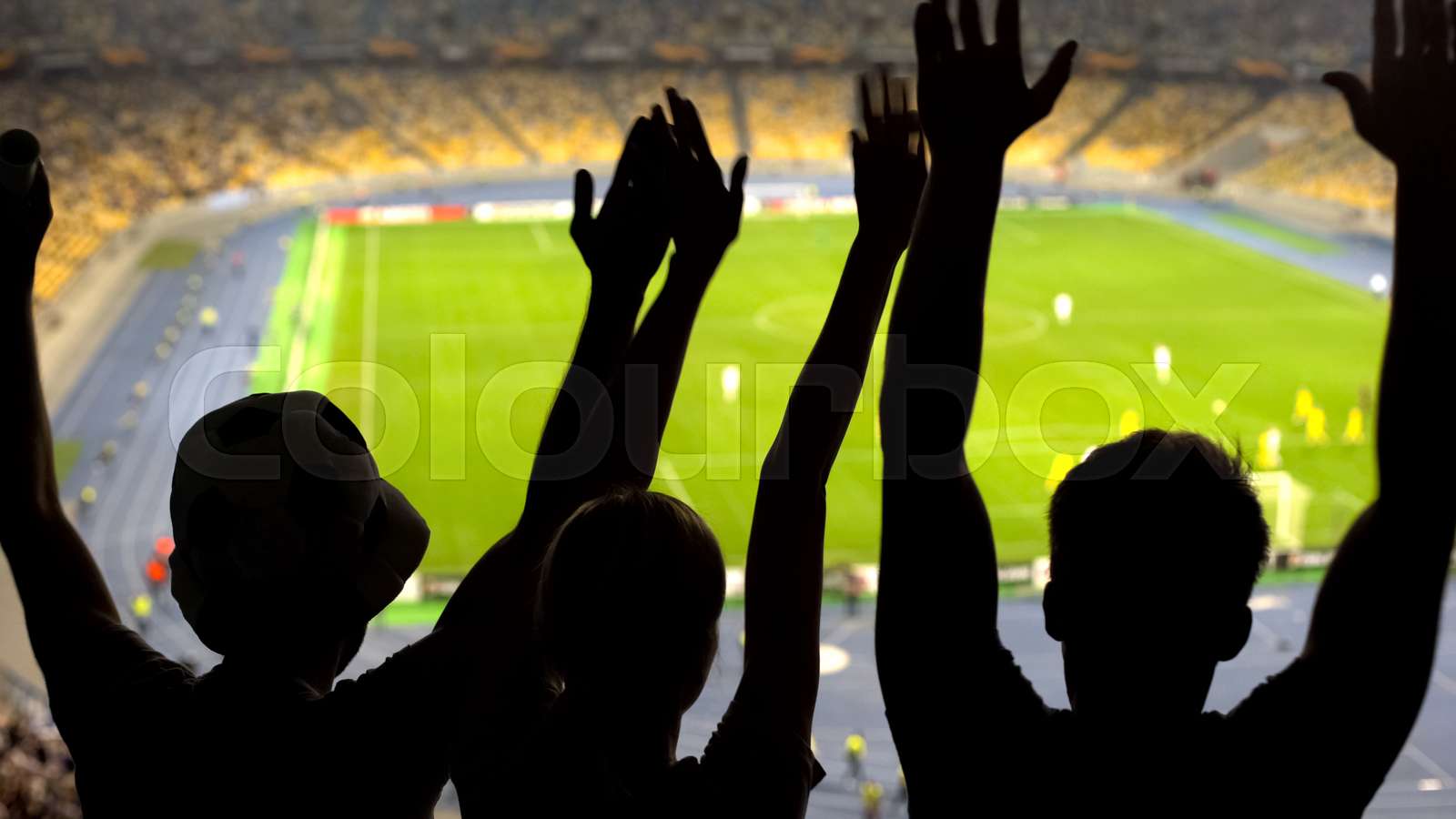 Passionate football fans celebrating goal, team winning, proud of ...