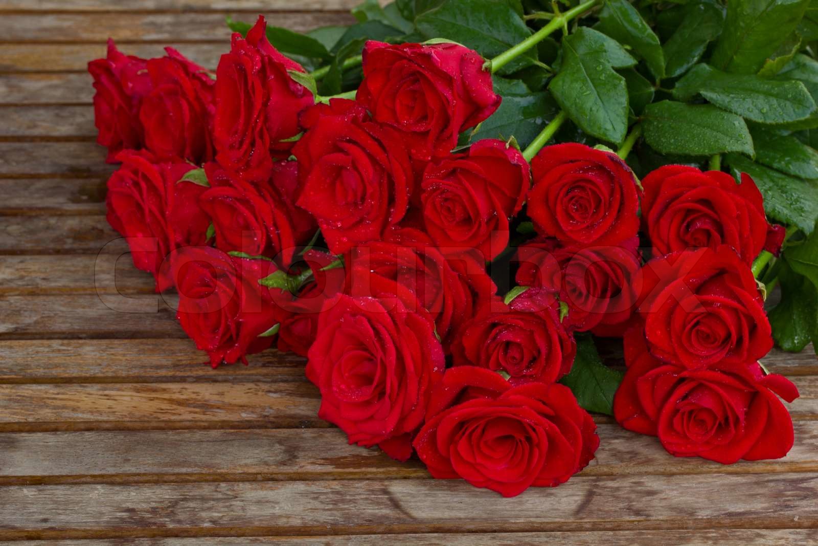 Strauß roter Rosen | Stock Bild | Colourbox