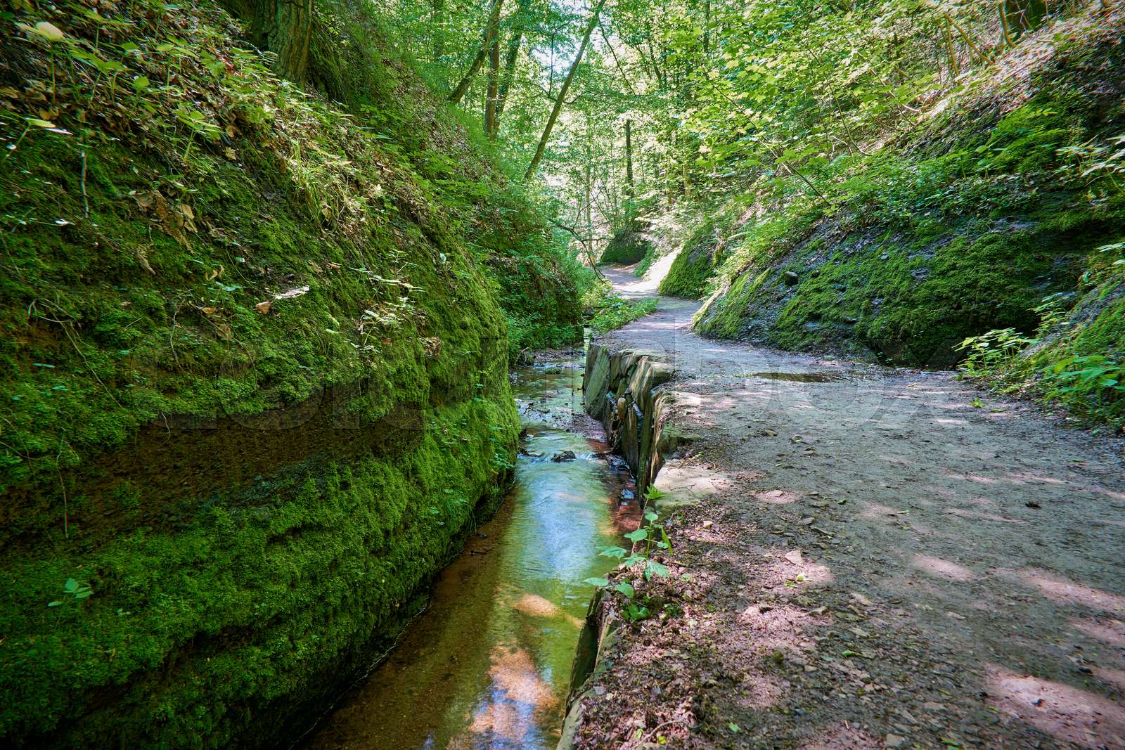 Hiking trail with a stream in Thuringia | Stock image | Colourbox