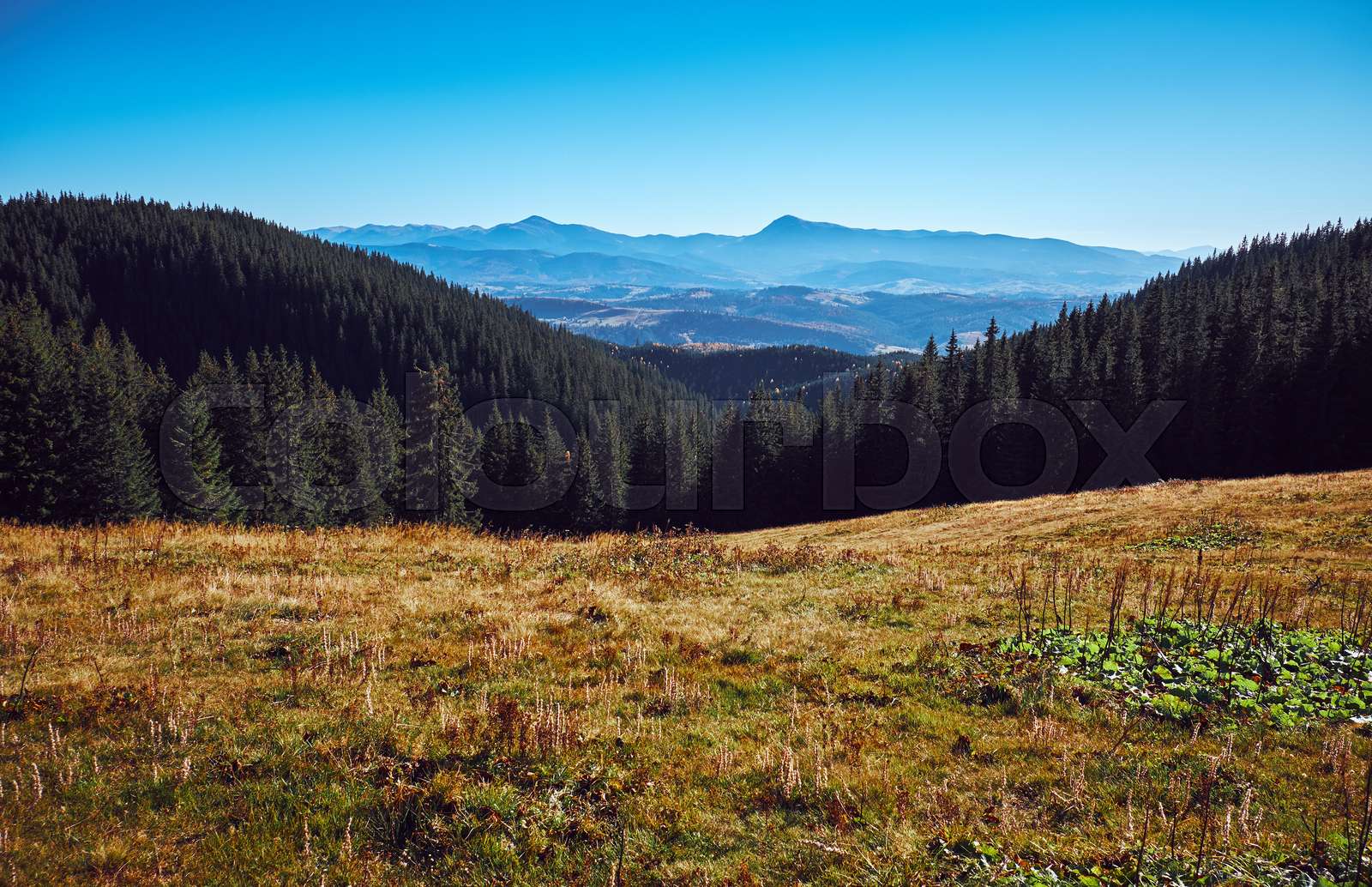 The Carpathian Mountains or Carpathians | Stock image | Colourbox
