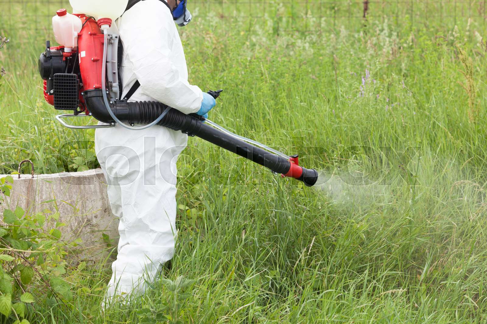 Man spraying insects outdoors. Pest control. | Stock image | Colourbox