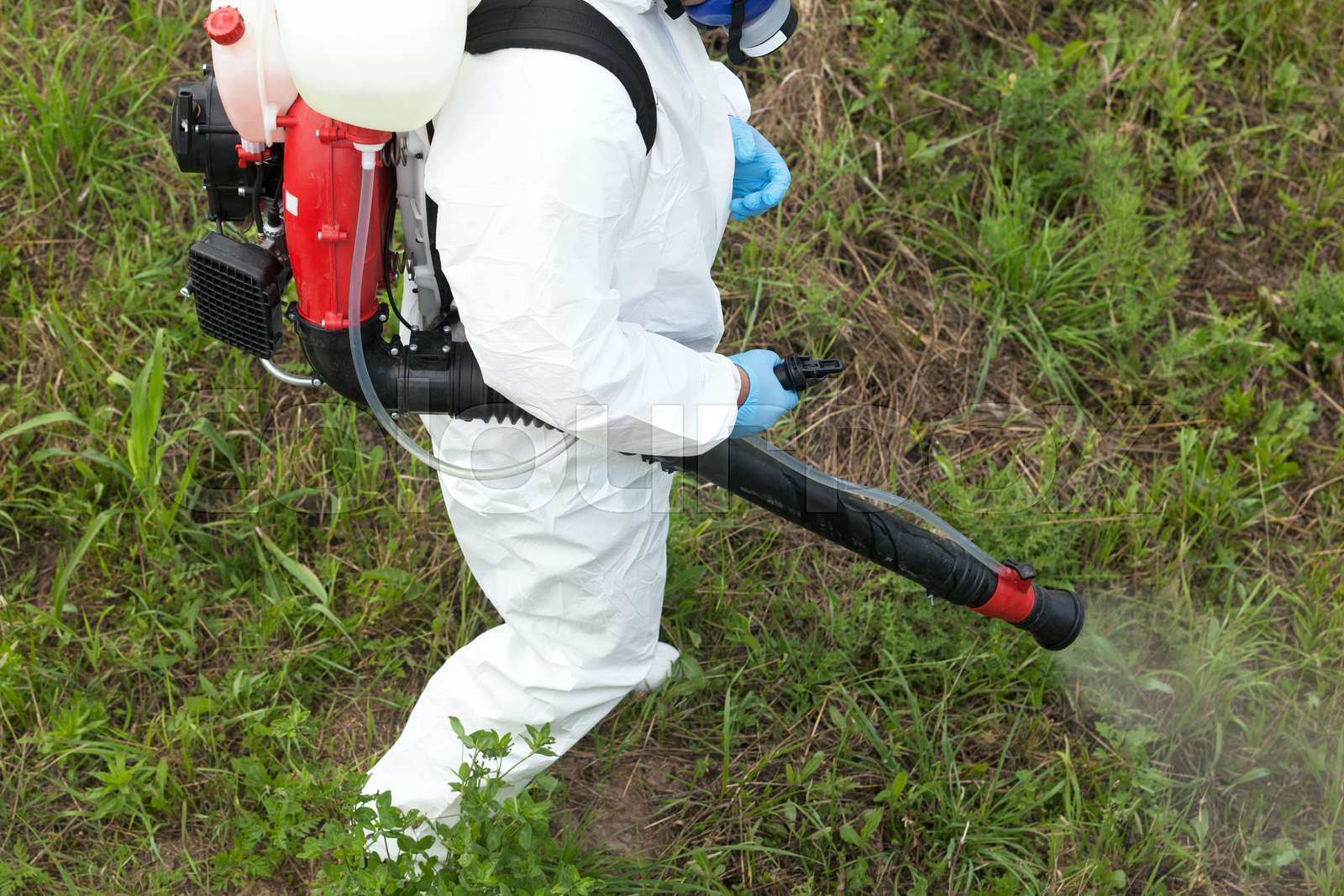 Pest control worker spraying insecticide | Stock image | Colourbox