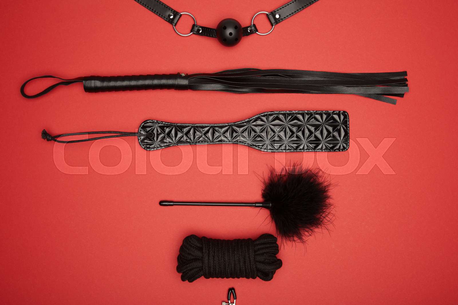 top view of black paddle, gag, rope, feather tickler and flogging whip ...
