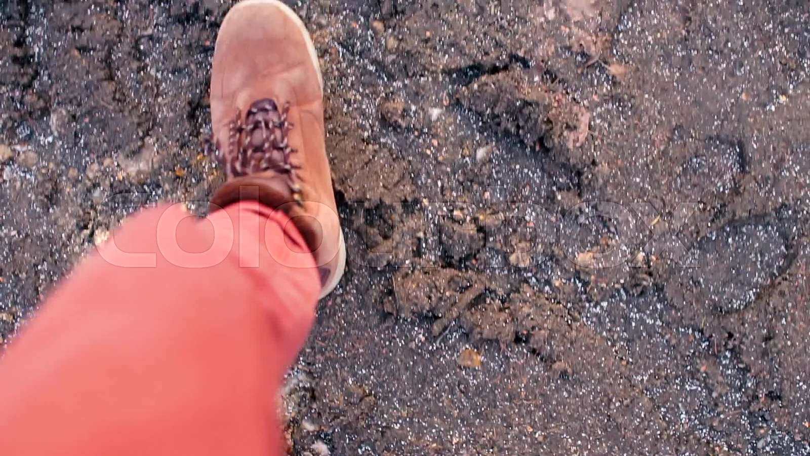 The tourist's feet walk through the mud in the forest. Search for ...