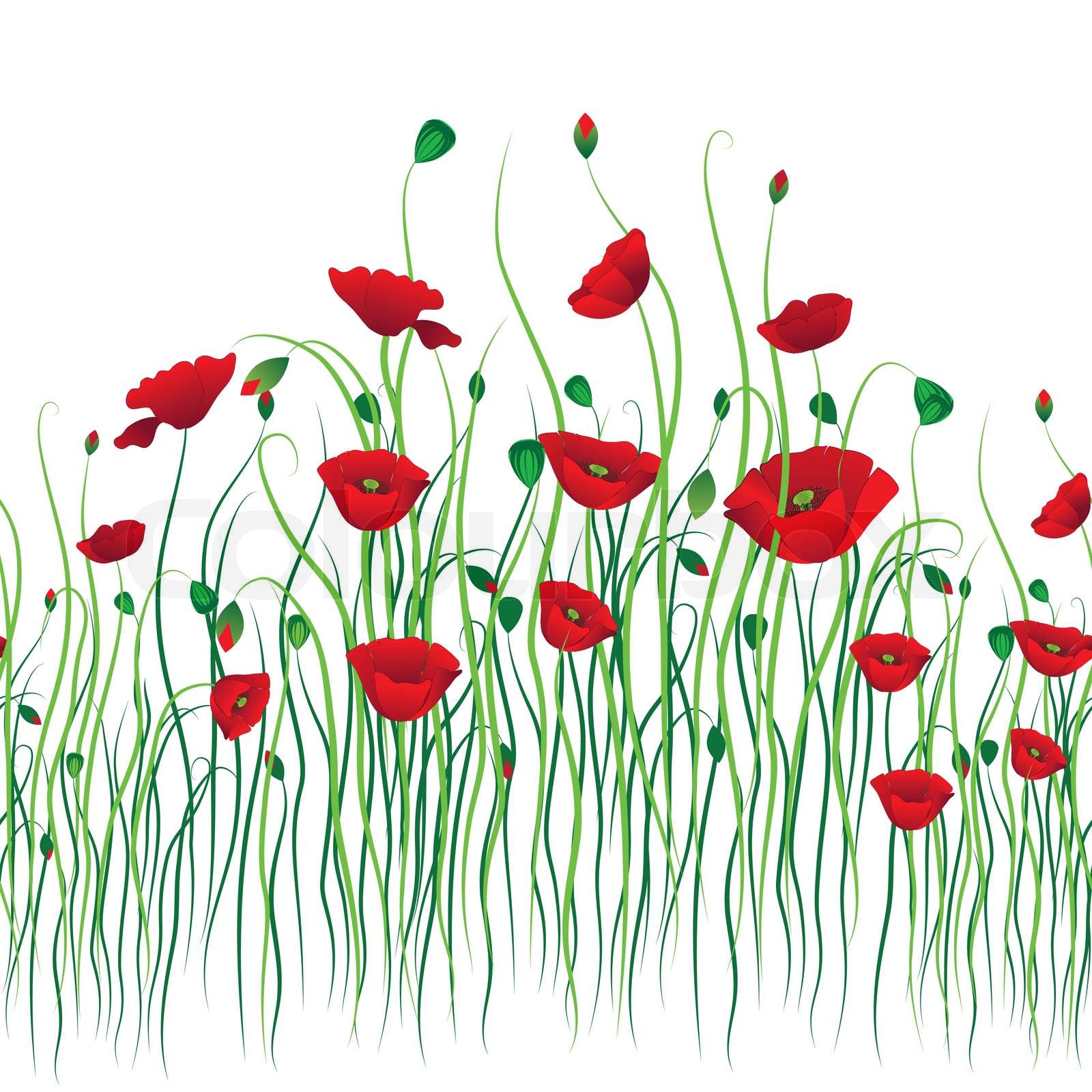 Poppy background | Stock vector | Colourbox