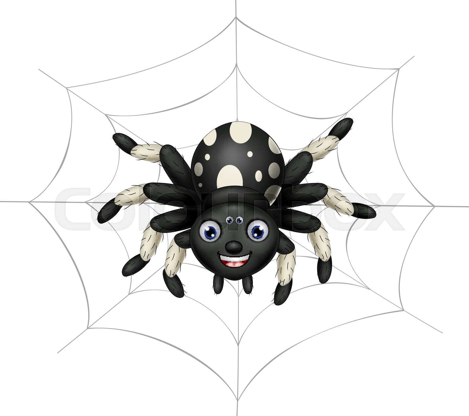 Cute Spider Cartoon Black And White