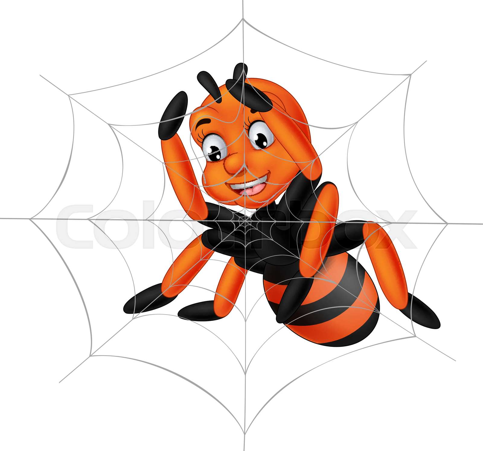 Cute Spider Web Cartoon