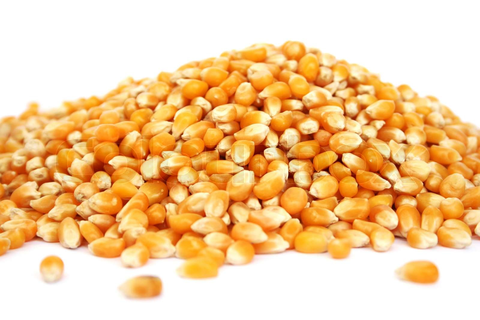 Pile of corn | Stock image | Colourbox