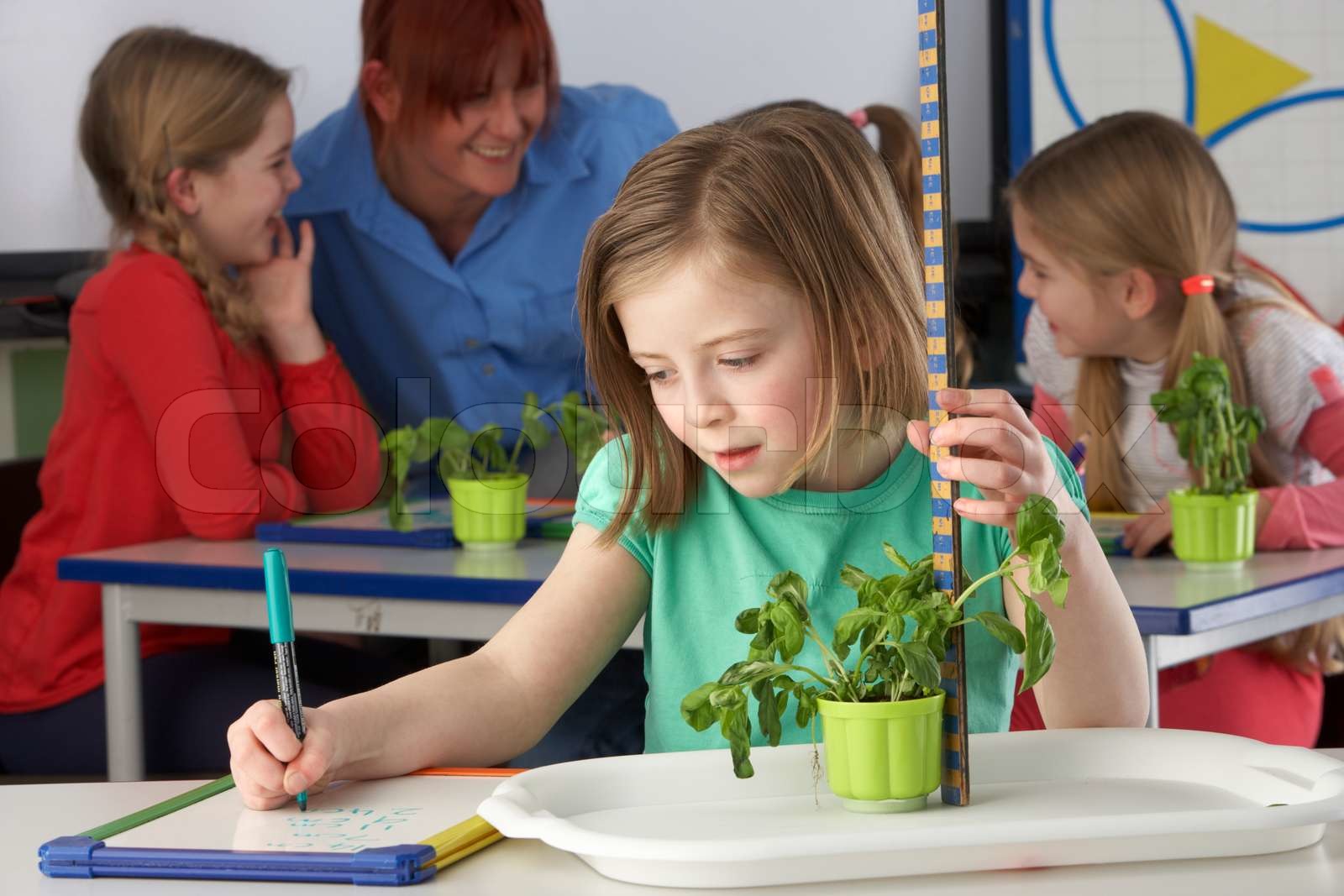 Girl learning about plants in school class | Stock image | Colourbox
