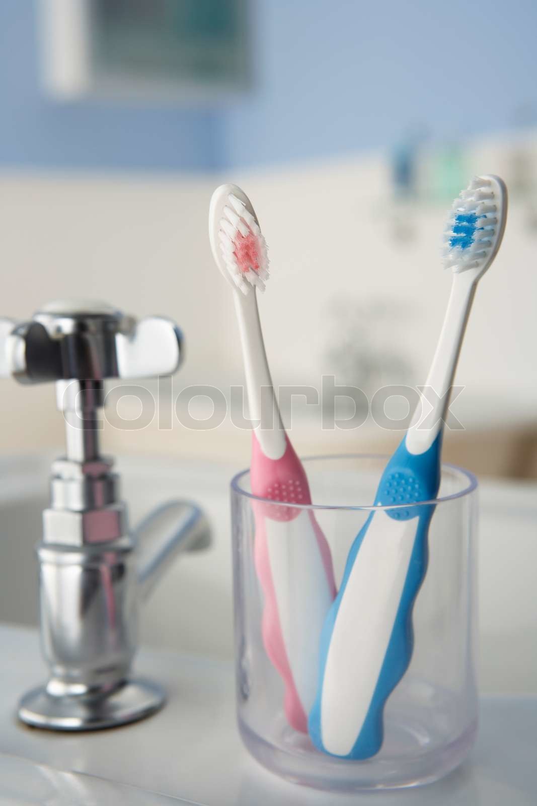 Toothbrushes in bathroom | Stock image | Colourbox