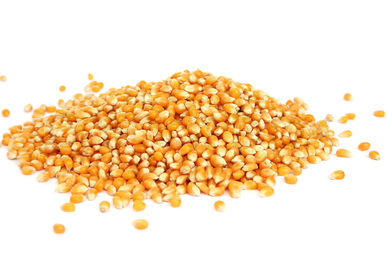 Pile of corn | Stock image | Colourbox