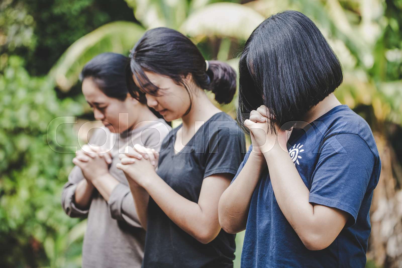 Group of different women praying together | Stock image | Colourbox