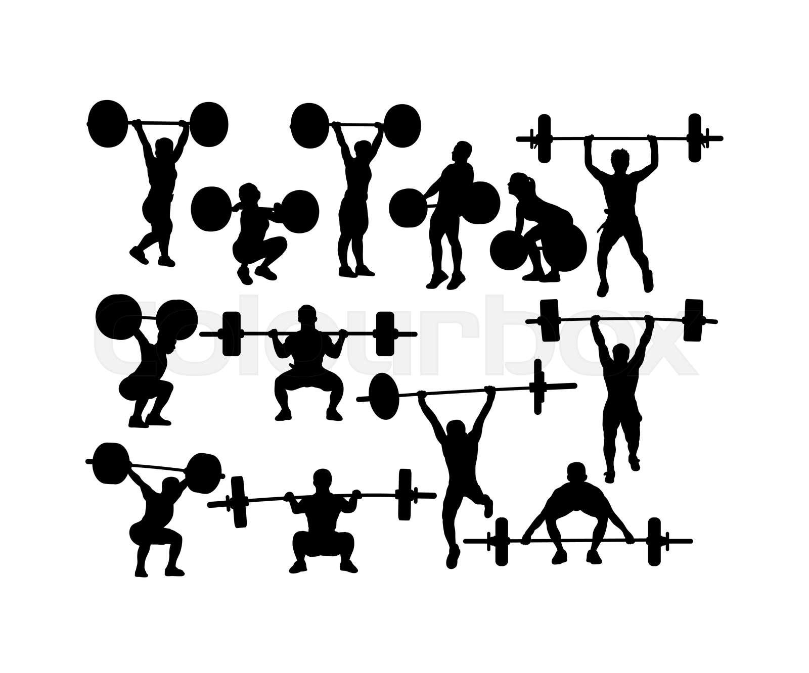 Weightlifting | Stock vector | Colourbox