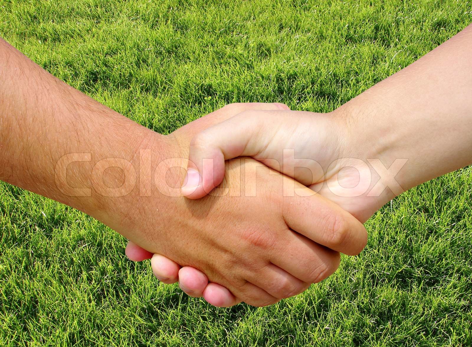 handshake | Stock image | Colourbox