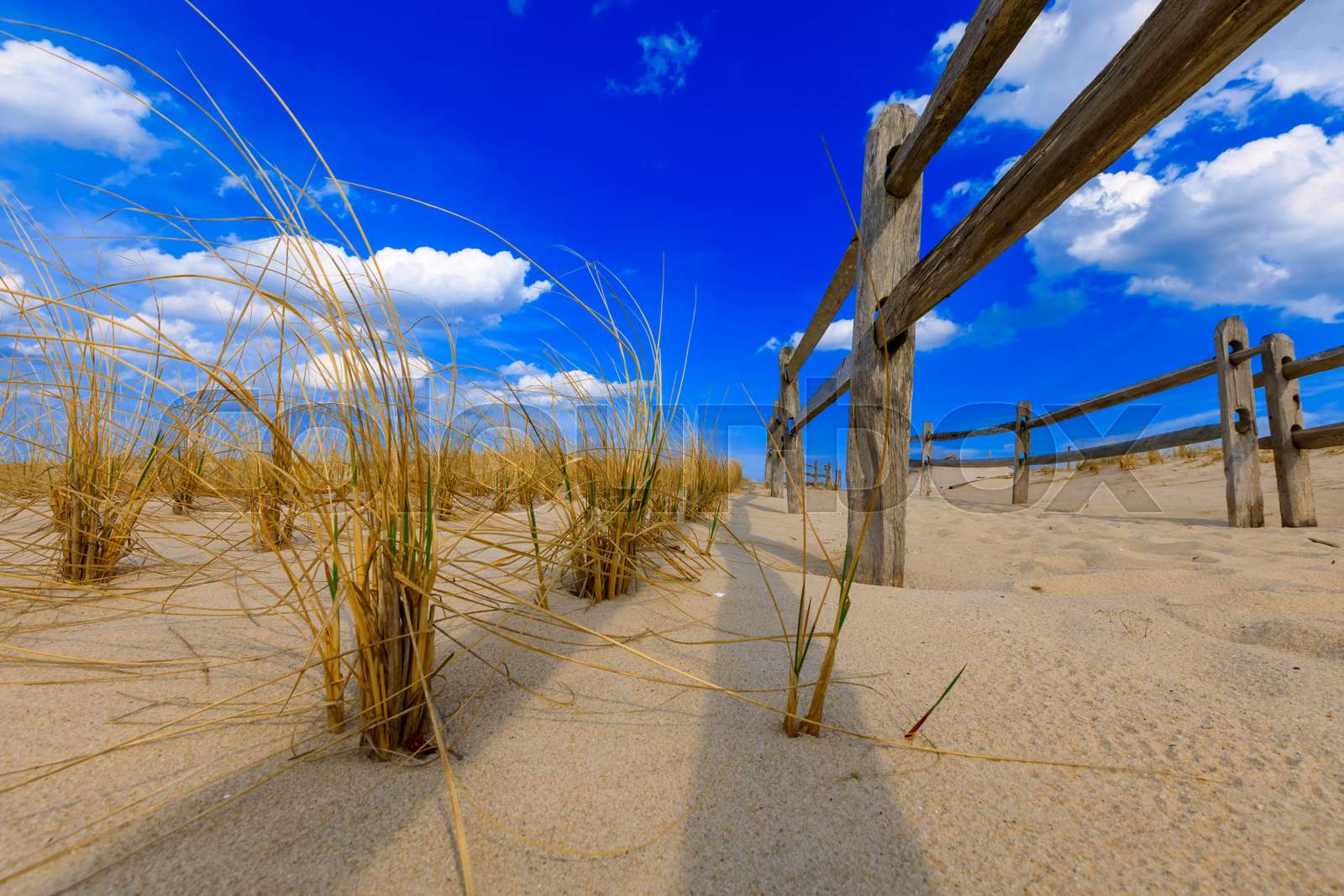 Sandy beach. | Stock image | Colourbox