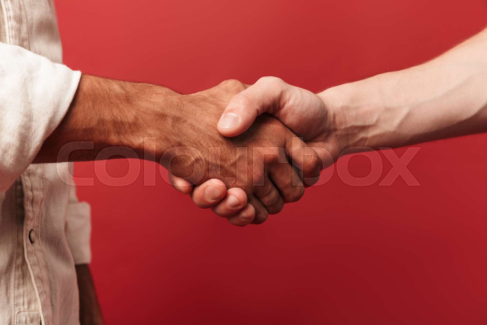 Close up of a strong men's handshake | Stock image | Colourbox