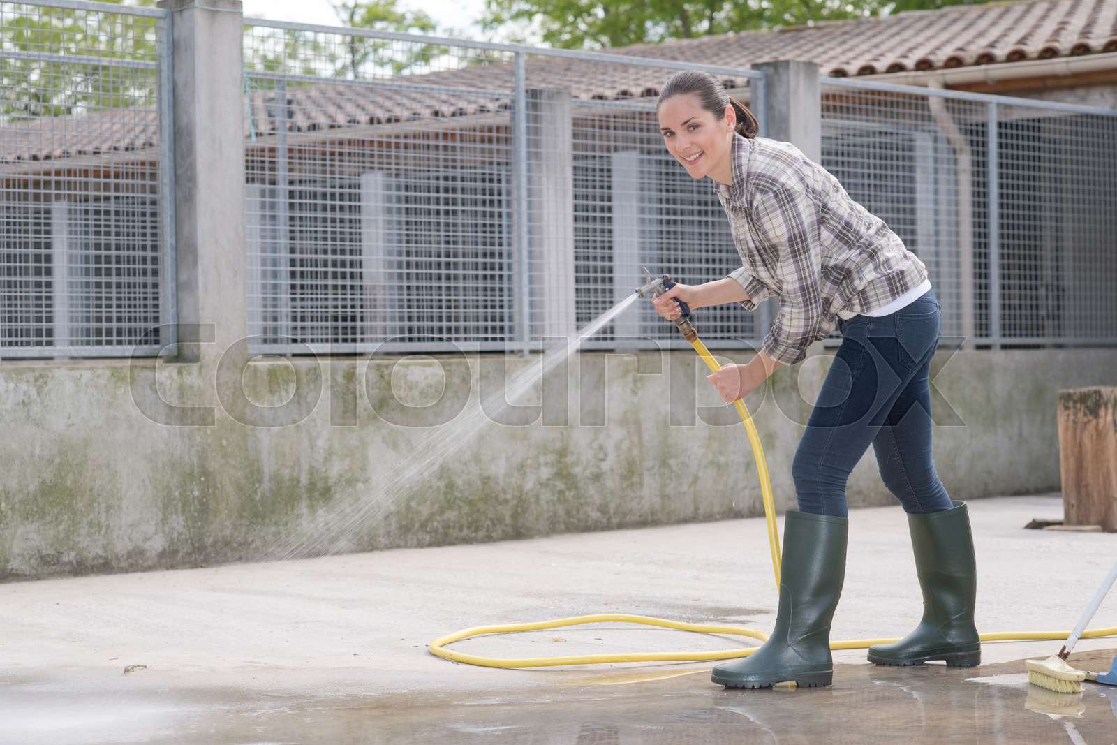cleaning time for kennel assistant | Stock image | Colourbox