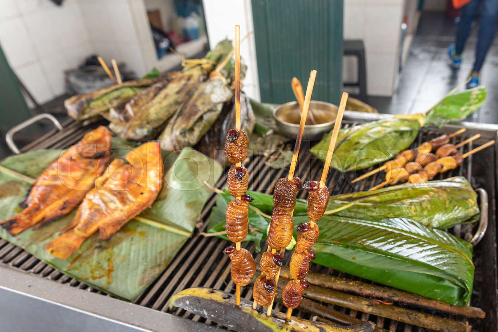 Edible palm weevil larvae (Rhynchophorus phoenicis) at traditional food ...