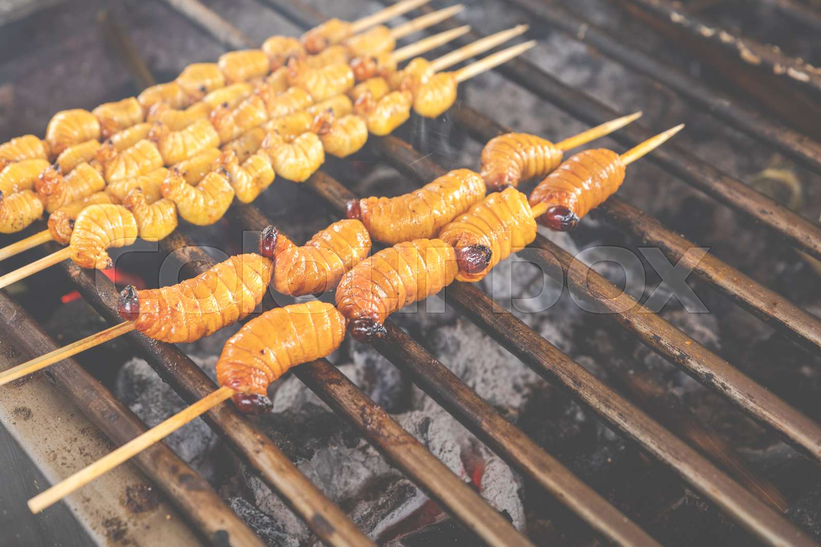 Edible palm weevil larvae (Rhynchophorus phoenicis) at traditional food ...