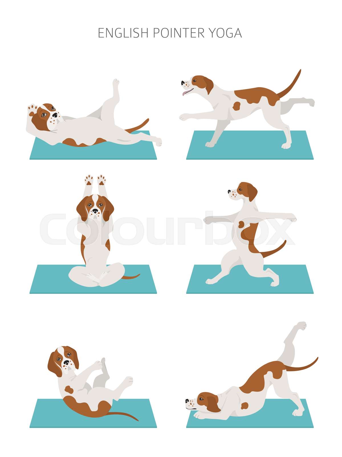 Yoga dogs poses and exercises poster design. English pointer clipart ...