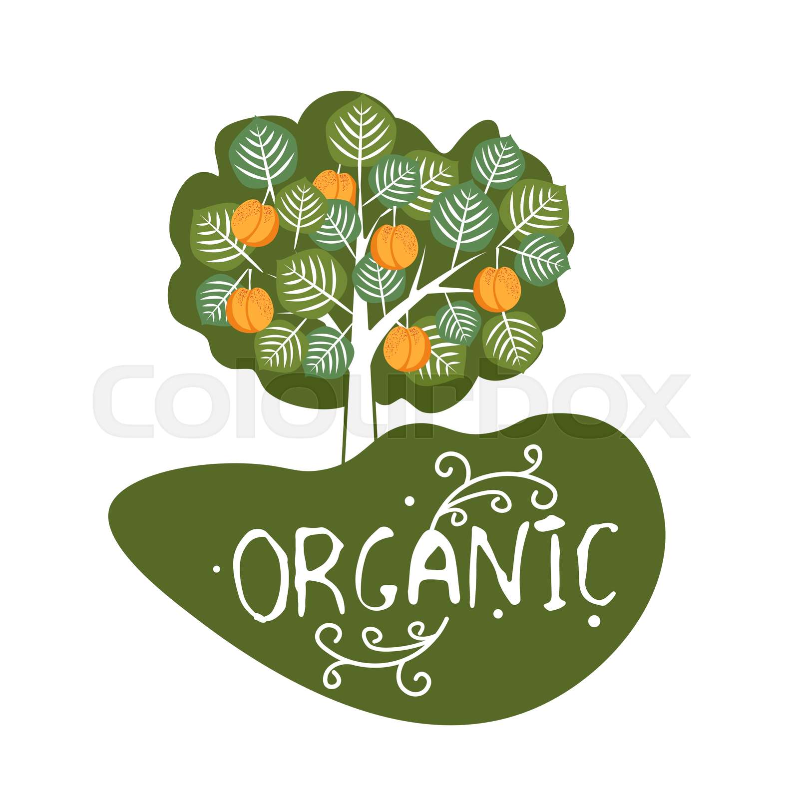 Fruit tree label | Stock vector | Colourbox