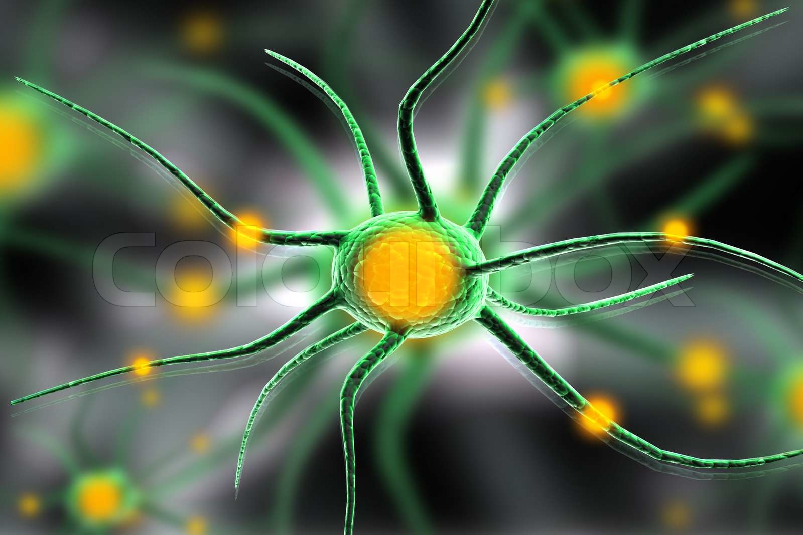 3d Nerve Cell Stock Image Colourbox