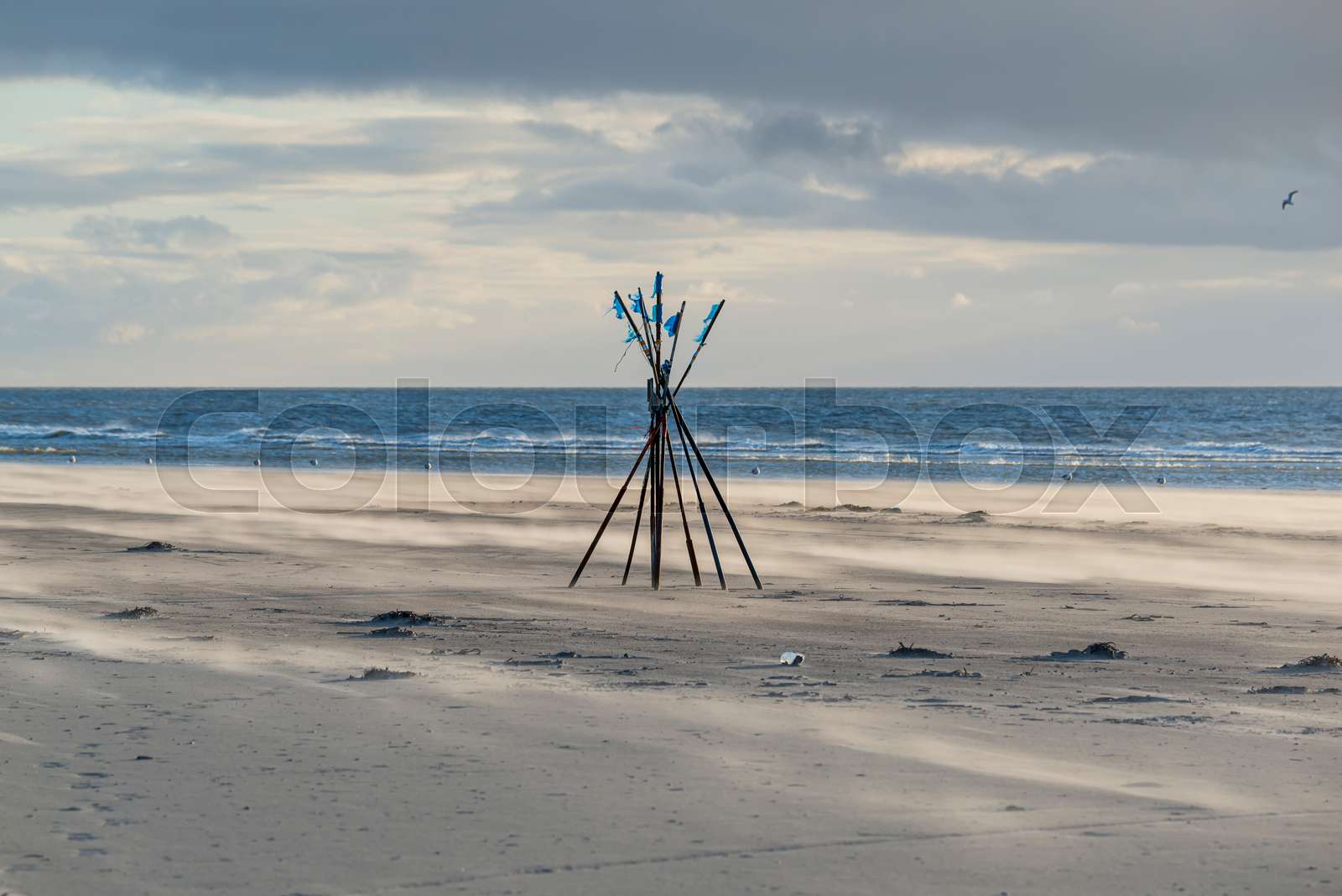 Fanø Strand | Stock image | Colourbox