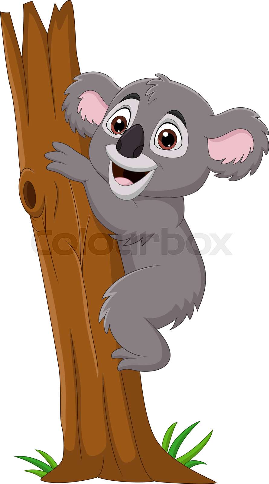 Cartoon koala climbing tree branch | Stock vector | Colourbox
