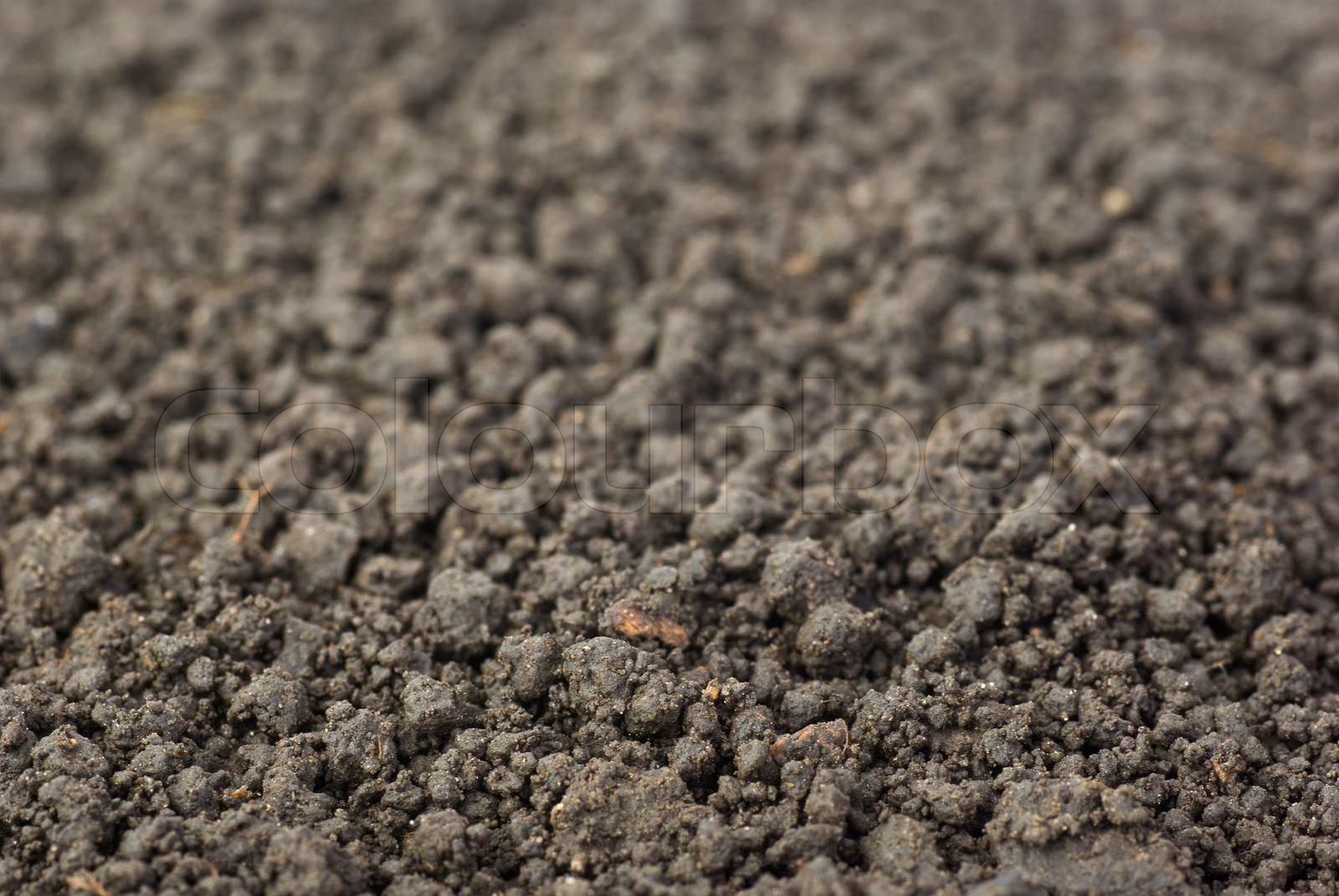 Erde Schimmel humus | Stock Bild | Colourbox