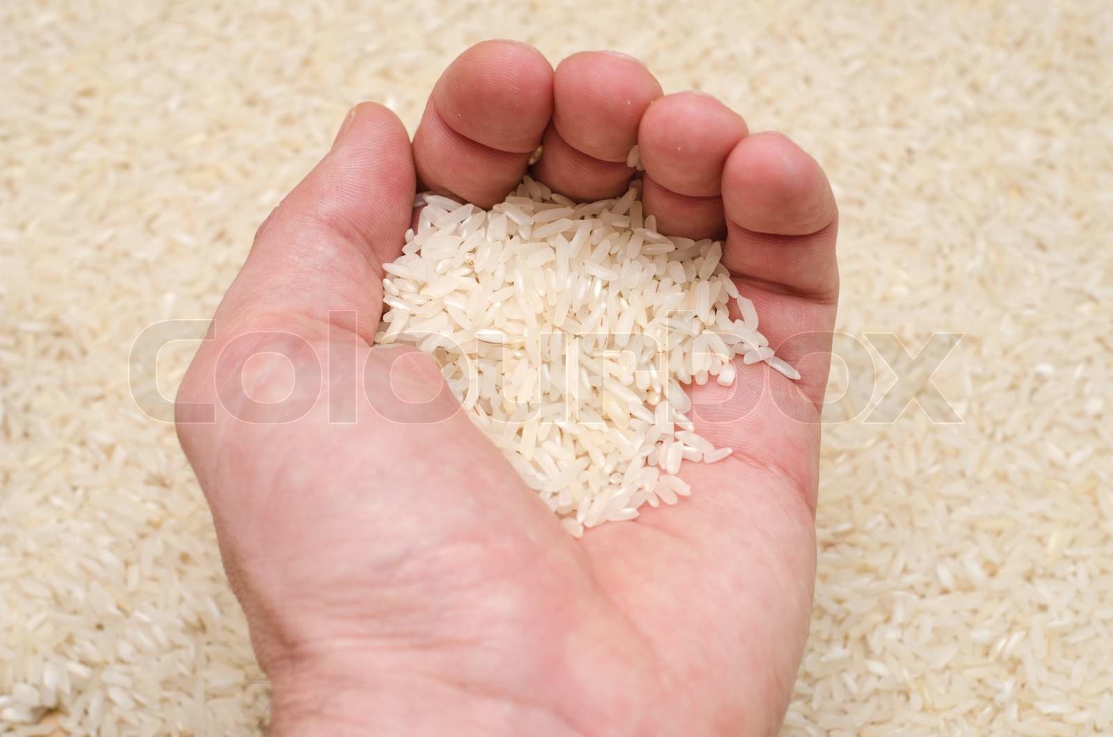 rice in hand | Stock image | Colourbox