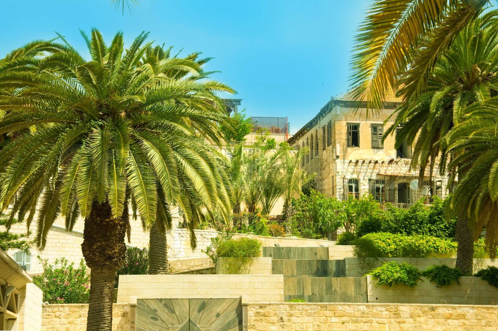 Ancient street in Nazareth, Israel Date palm trees | Stock image ...