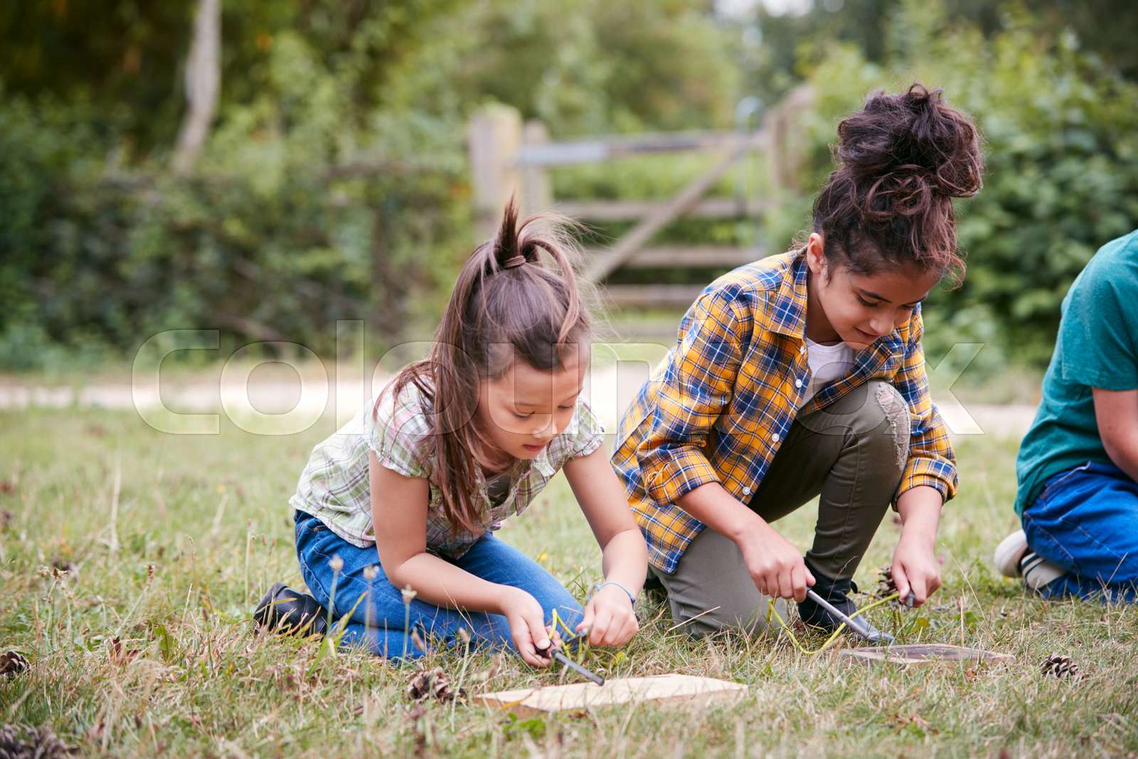 Two Girls On Outdoor Camping Trip Learning How To Make Fire | Stock ...