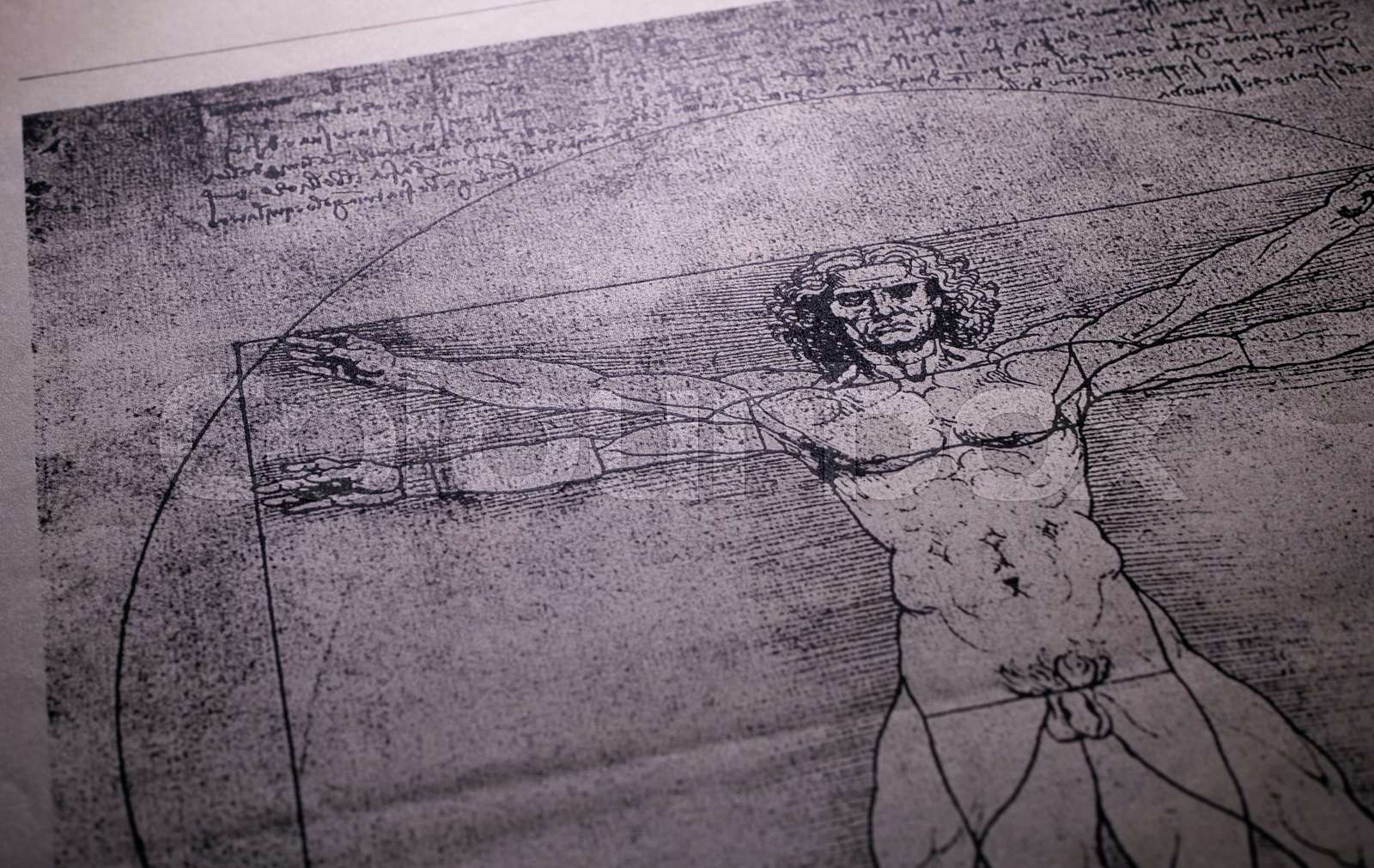 Anatomy Art Drawing | Stock image | Colourbox