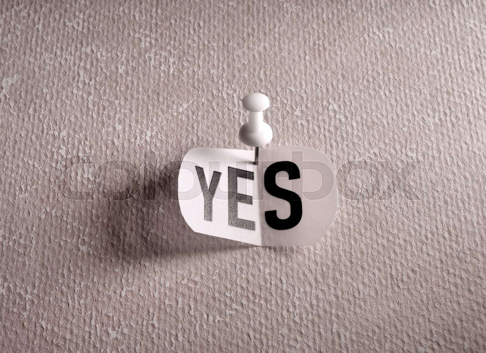 Yes Tag Paper | Stock image | Colourbox