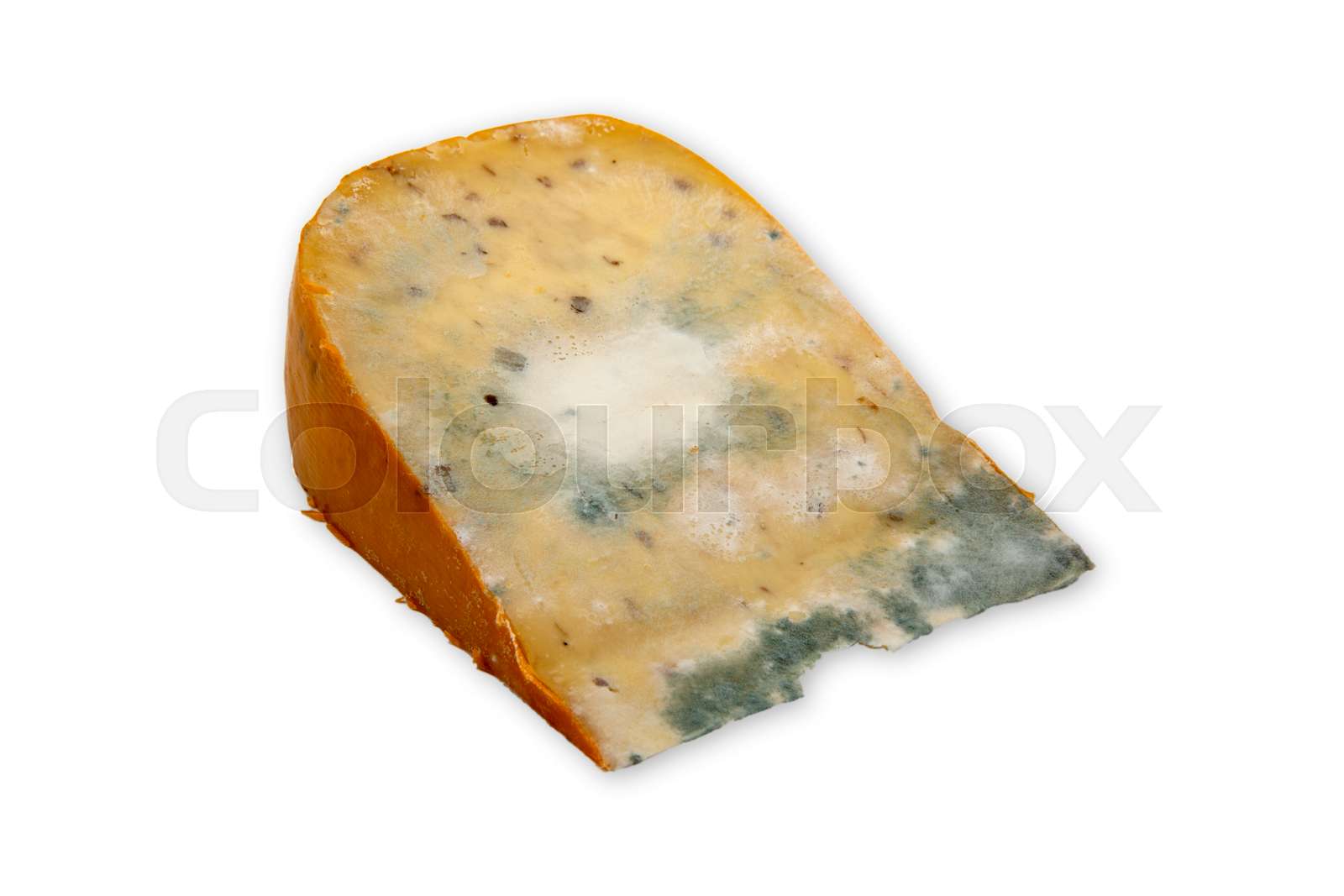 Moldy Swiss Cheese
