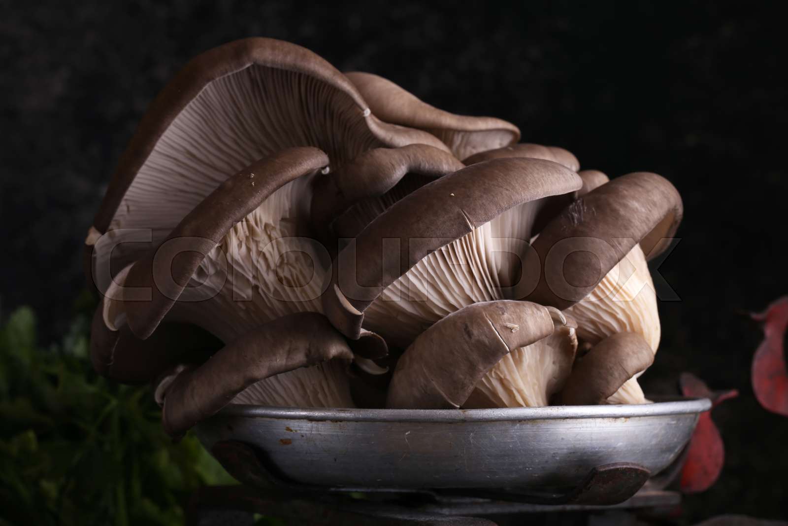natural organic mushrooms for vegetarian food | Stock image | Colourbox