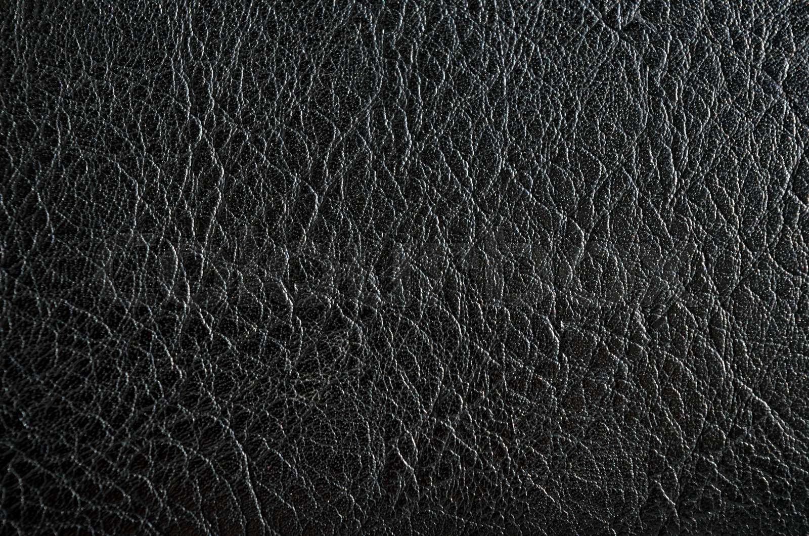 Rough texture of black animal skin, closeup | Stock image | Colourbox