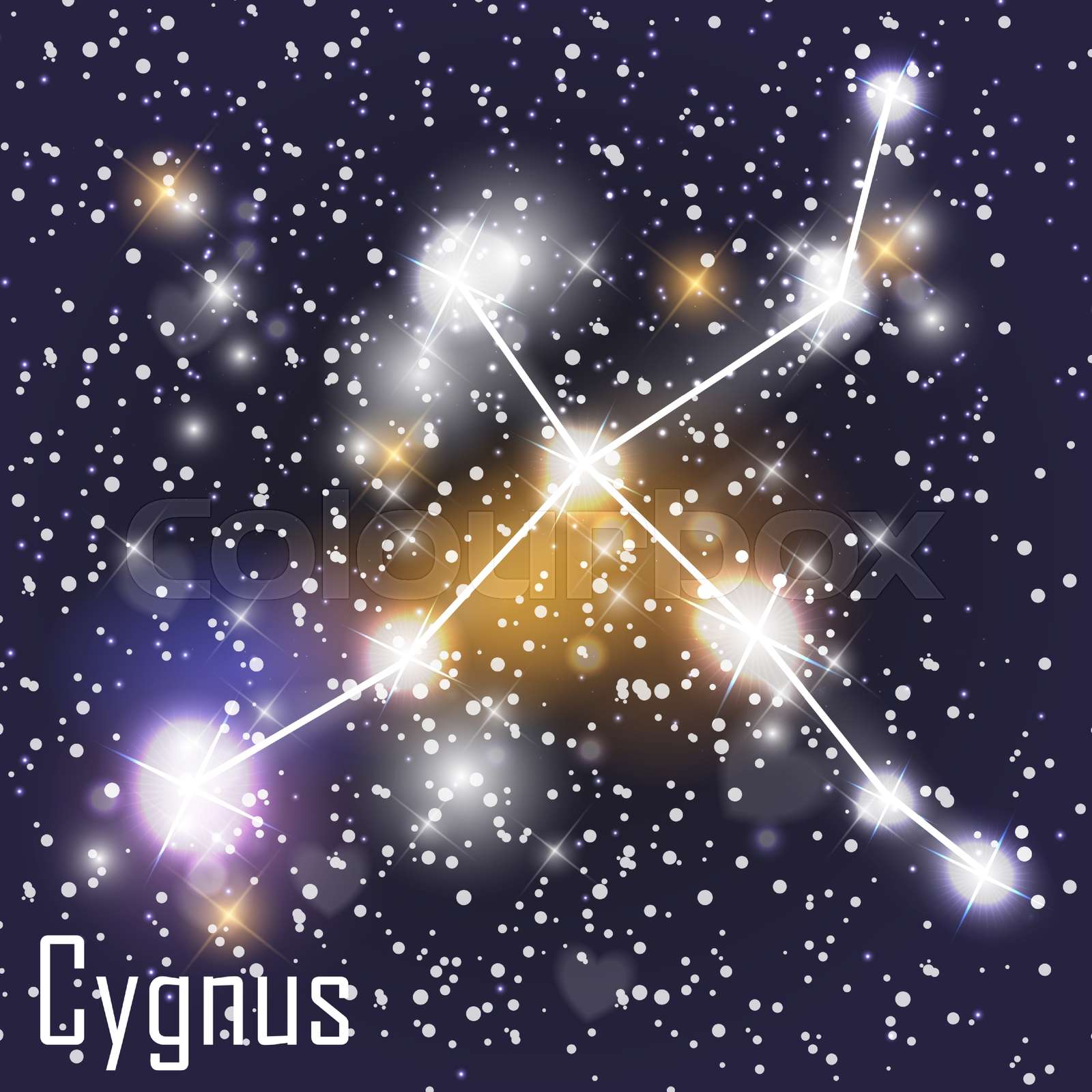 Cygnus Stars