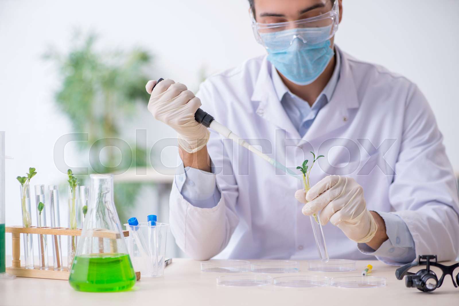 Young male chemist working in the lab | Stock image | Colourbox