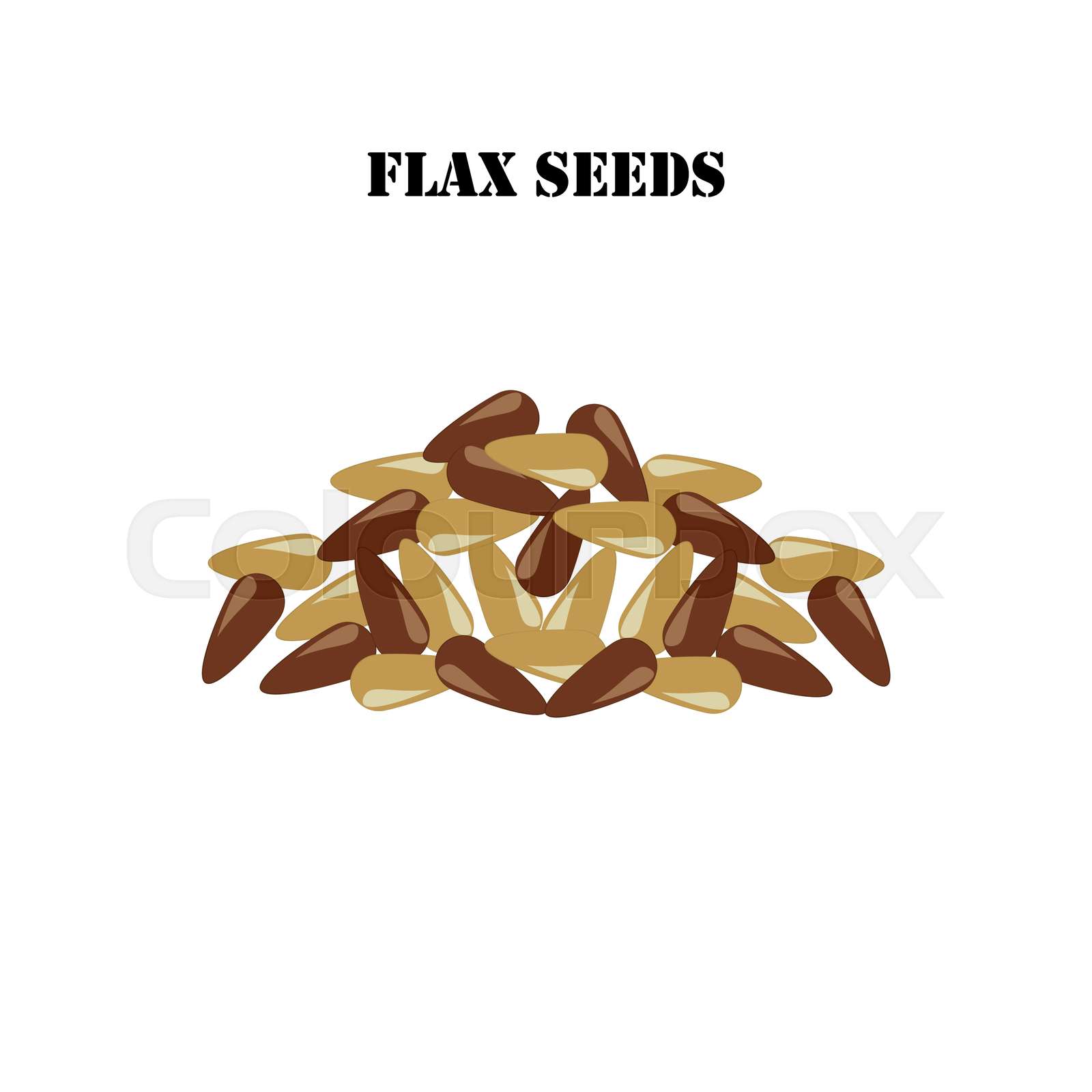 Flax seeds healthy organic nutrition vector illustration | Stock vector ...