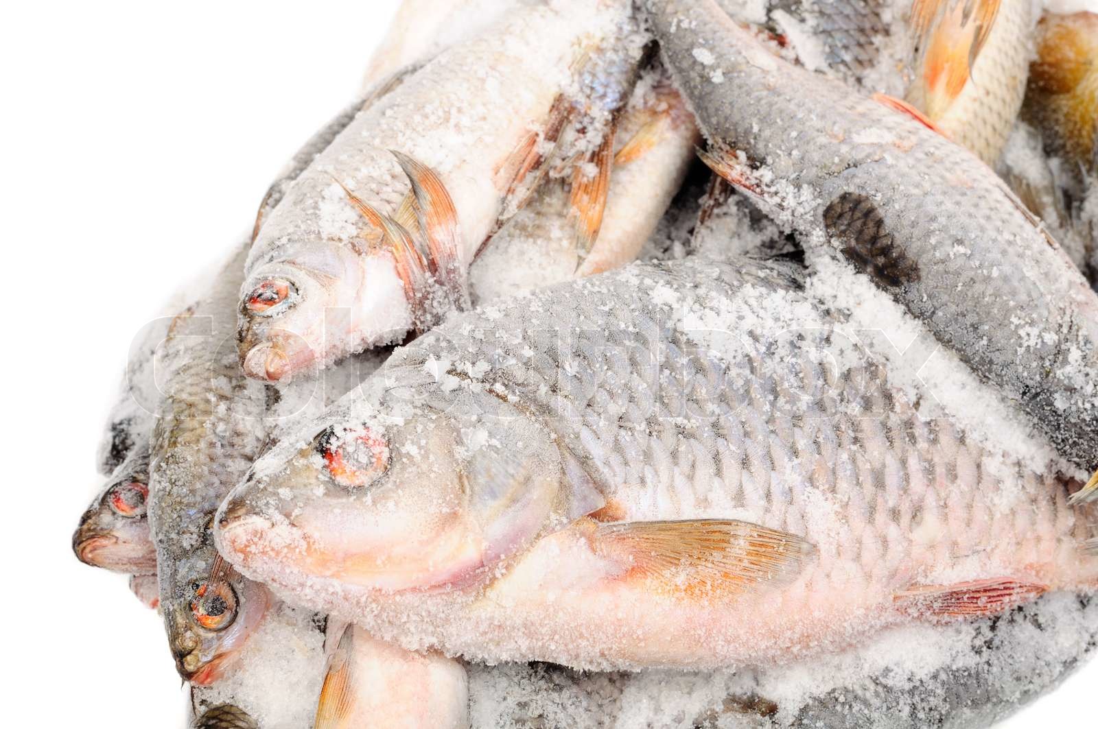 Frozen Fish on White Background | Stock image | Colourbox