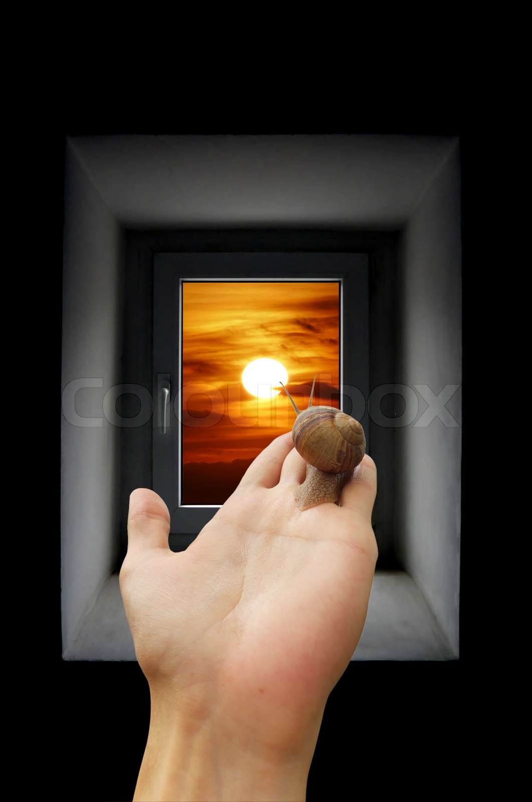 Window to freedom | Stock image | Colourbox