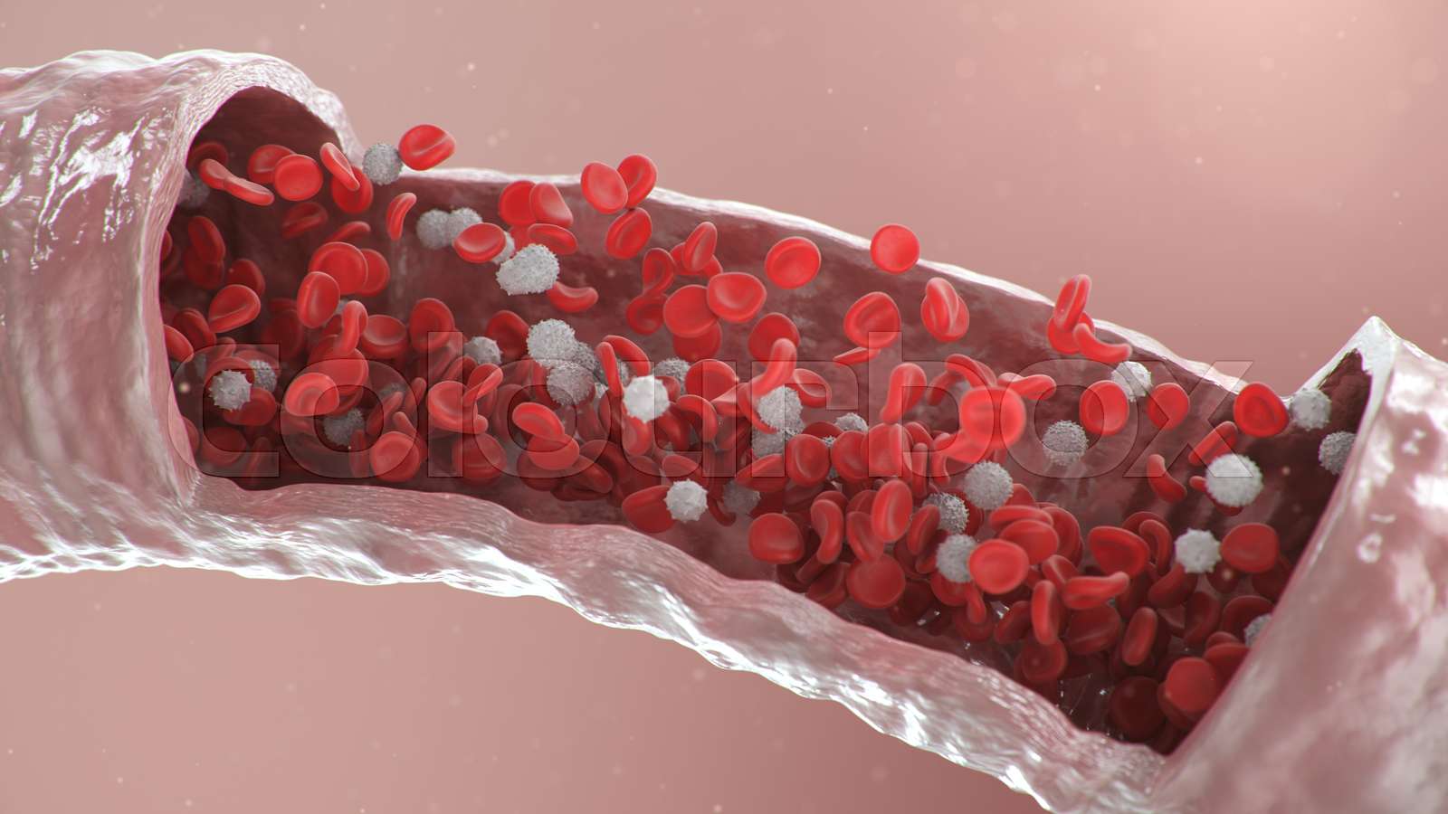 3d illustration of red blood cells inside an artery, vein. Healthy ...