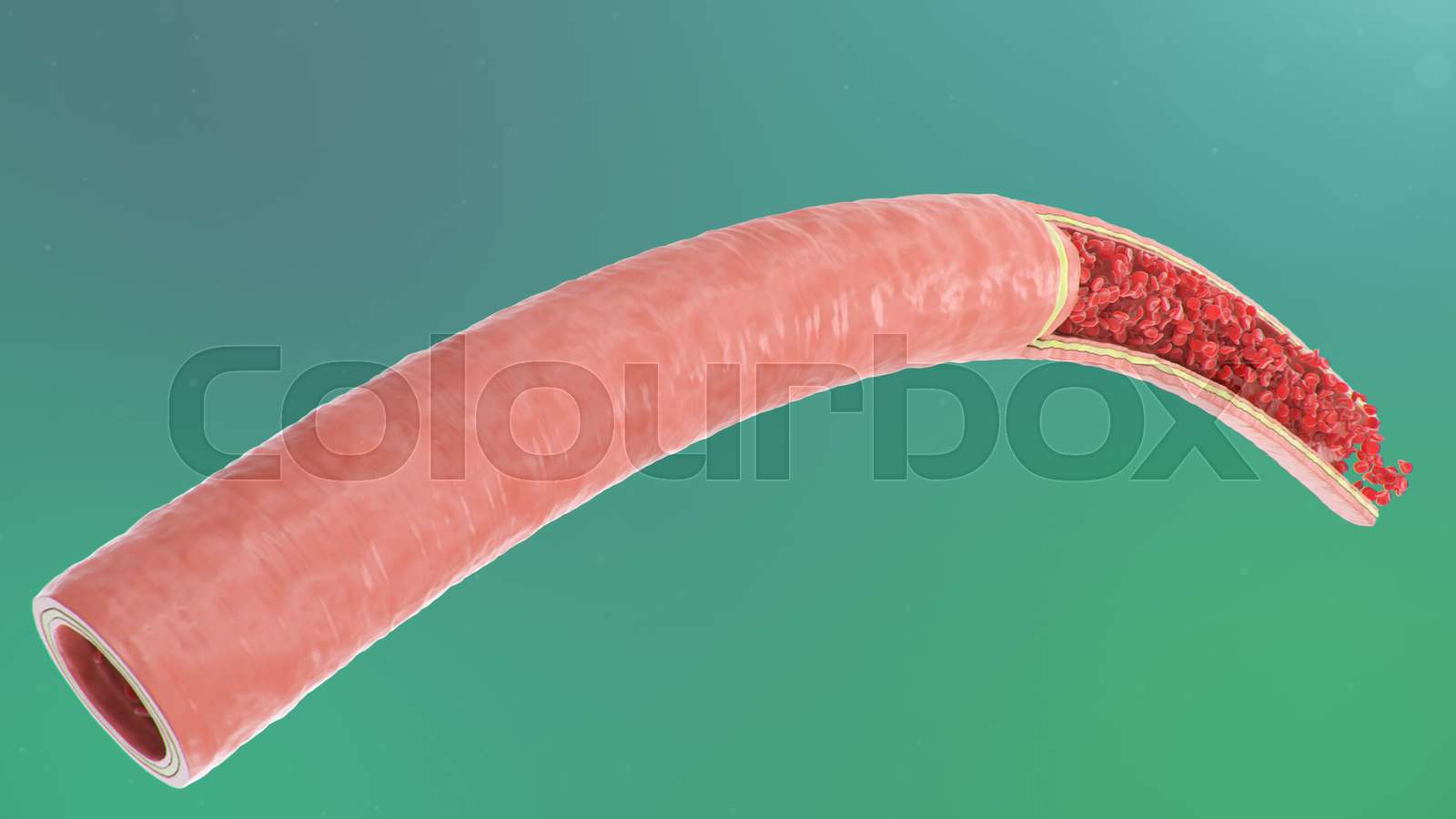 3d illustration of red blood cells inside an artery, vein. Healthy ...