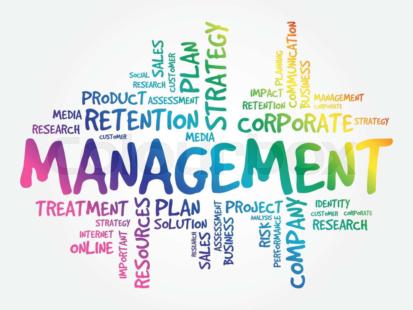 MANAGEMENT word cloud collage | Stock vector | Colourbox