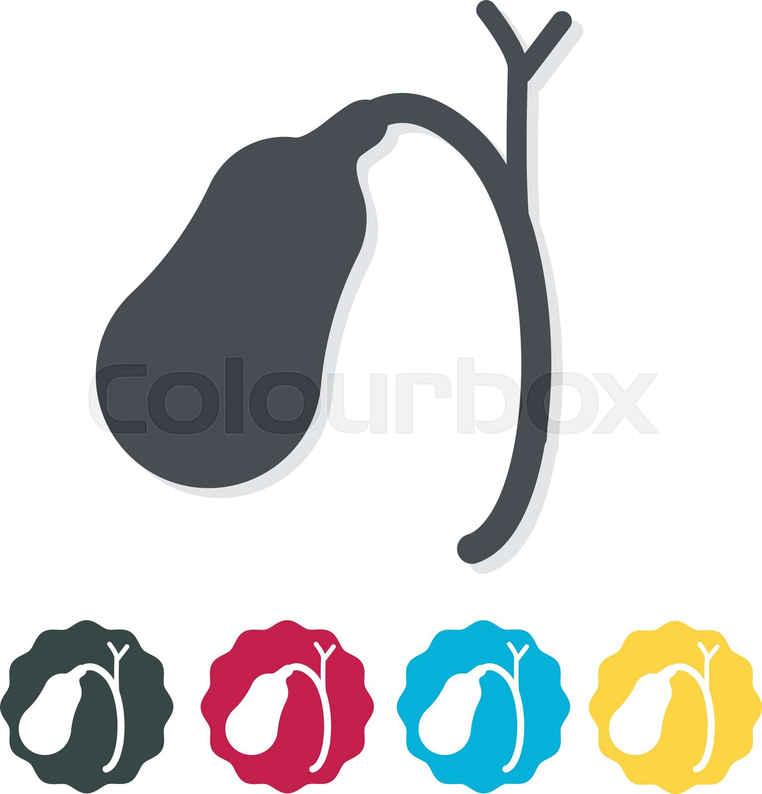 Gall Bladder Icon | Stock vector | Colourbox